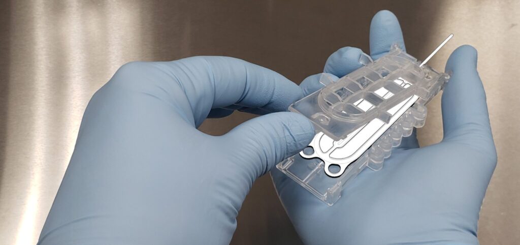 ViaCyte Encaptra® | Strollo Inc.